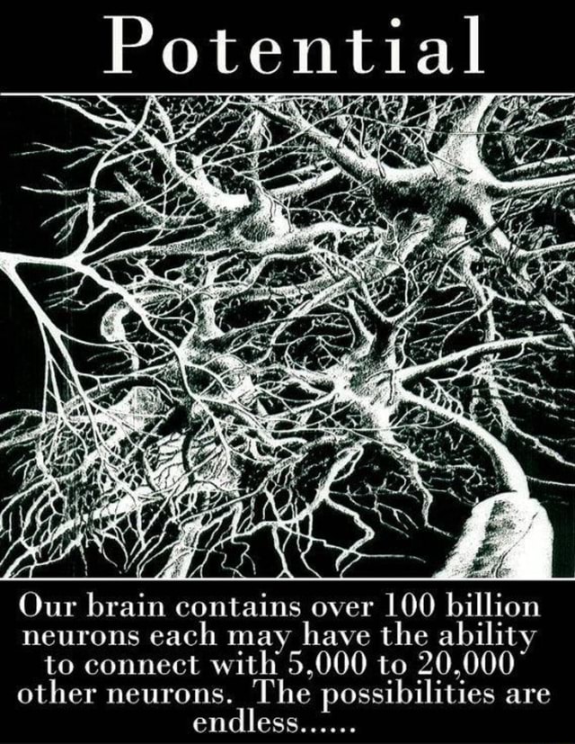 Potential at Our brain contains over 100 billion neurons each may have ...