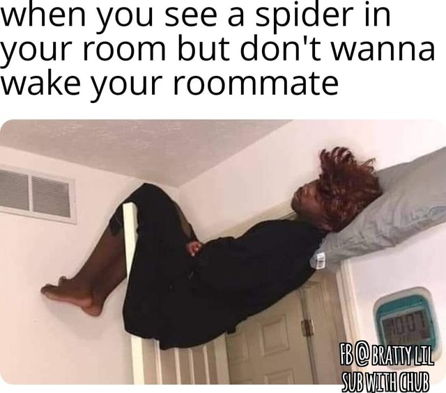 When You See A Spider In Your Room But Dont Wanna Wake Your Roommate Ifunny