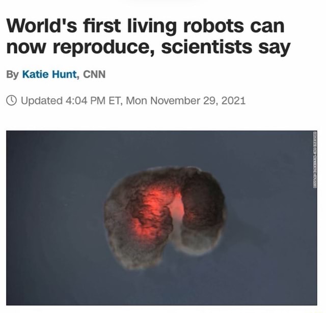 World's first living robots can now reproduce, scientists say By Katie Hunt, CNN Updated PM ET ...
