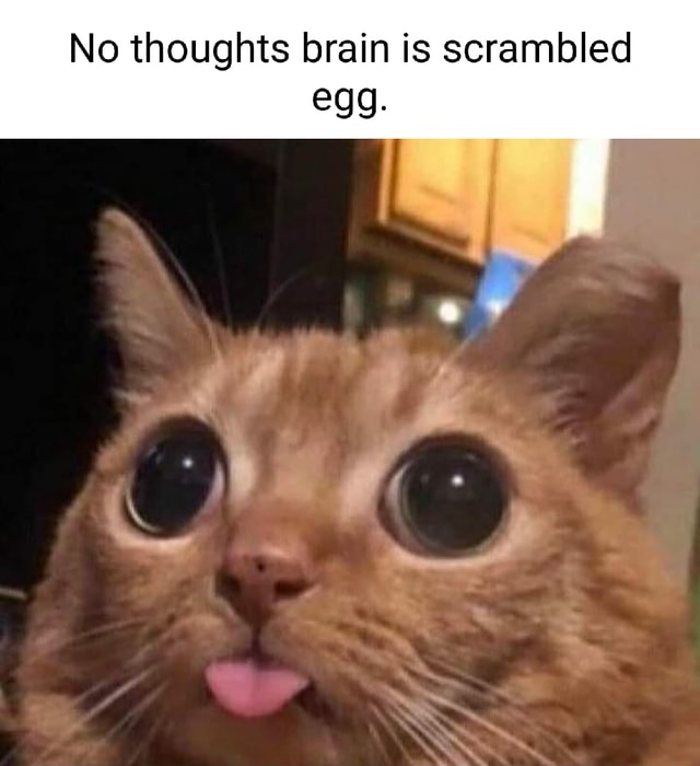 No thoughts brain is scrambled egg. - iFunny