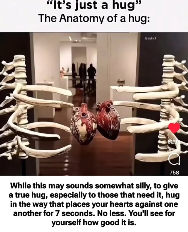 "It's just a hug" The Anatomy of a hug: While this may sounds somewhat ...
