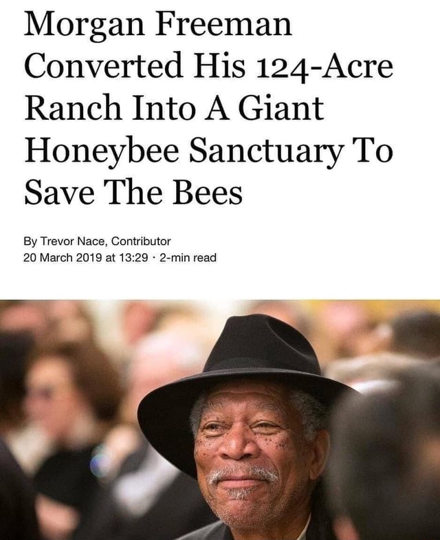 Morgan Freeman Converted His 124-Acre Ranch Into A Giant Honeybee ...