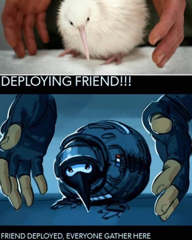 DEPLOYING FRIEND!!! FRIEND DEPLOYED, EVERYONE GATHER HERE - iFunny