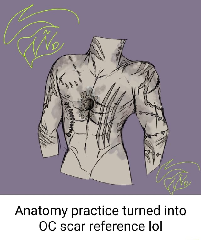 Anatomy practice turned into OC scar reference lol - iFunny
