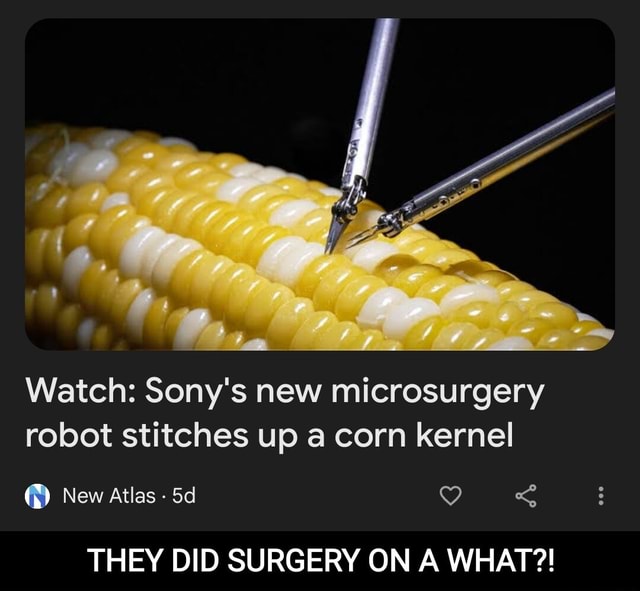 Watch: Sony's new microsurgery robot stitches up corn kernel New Atlas ...