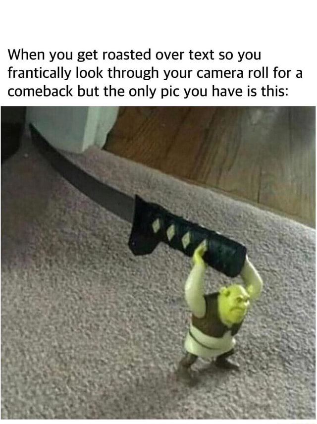 When you get roasted over text so you frantically look through your ...