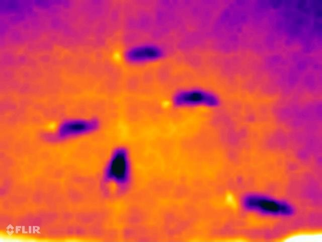 Predator vision!! - iFunny