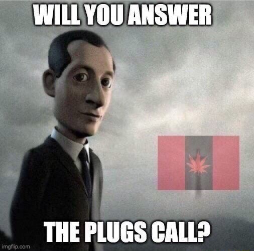 WILL YOU ANSWER THE PLUGS CALL? - iFunny