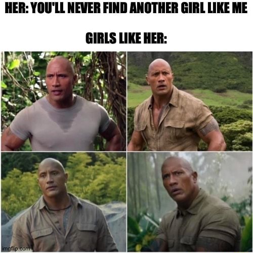 HER: YOU'LL NEVER FIND ANOTHER GIRL LIKE ME - iFunny
