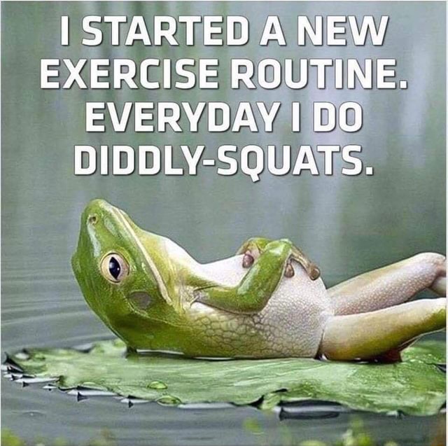 STARTED A NEW EXERCISE ROUTINE. EVERYDAY DO DIDDLY-SQUATS. - iFunny