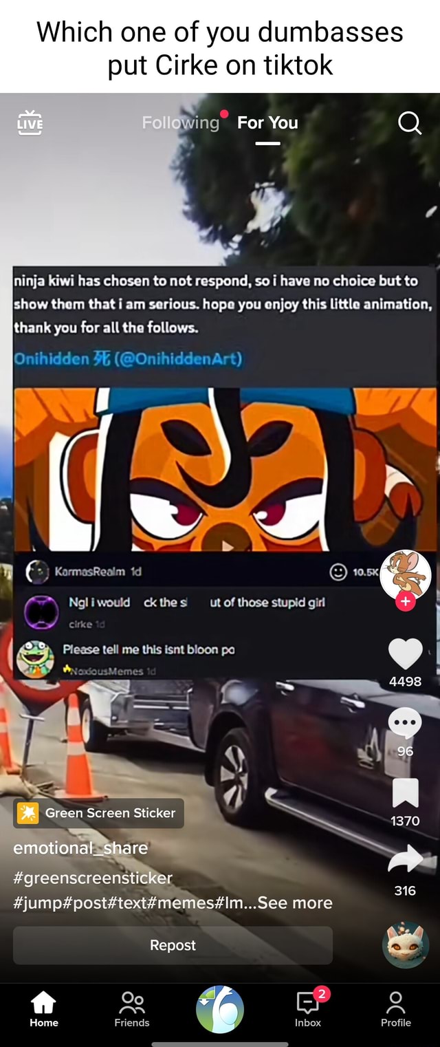 Which one of you dumbasses put Cirke on tiktok wing For You ninja kiwi ...