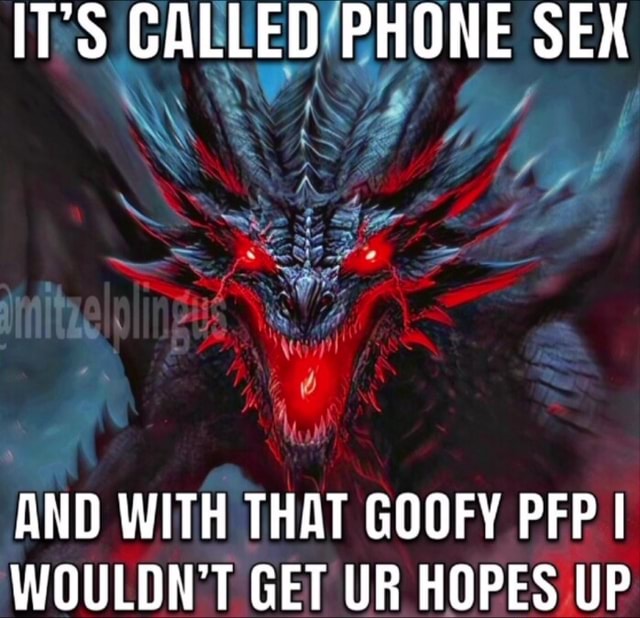Its Called Phone Sex And With That Goofy Pfp I Wouldnt Get Ur Hopes Up Ifunny