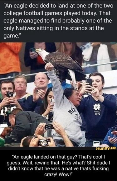 "An eagle decided to land at one of the two college football games ...