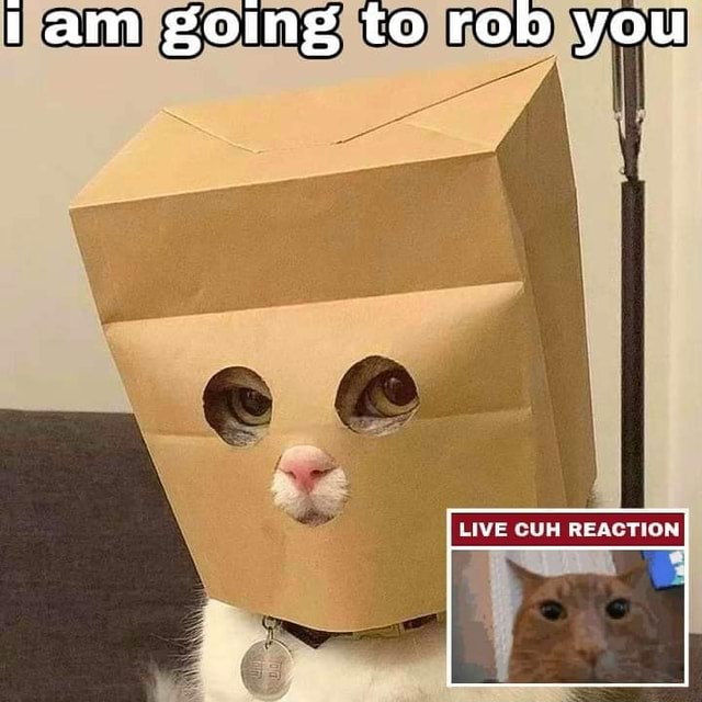 Lam going to rob you LIVE CUH REACTION - iFunny