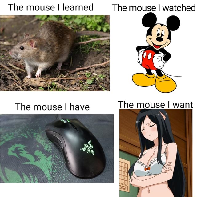 The mouse I learned The mouse I watched RATE - iFunny