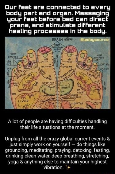 Our feet are connected to every body your part Feet and organ ...