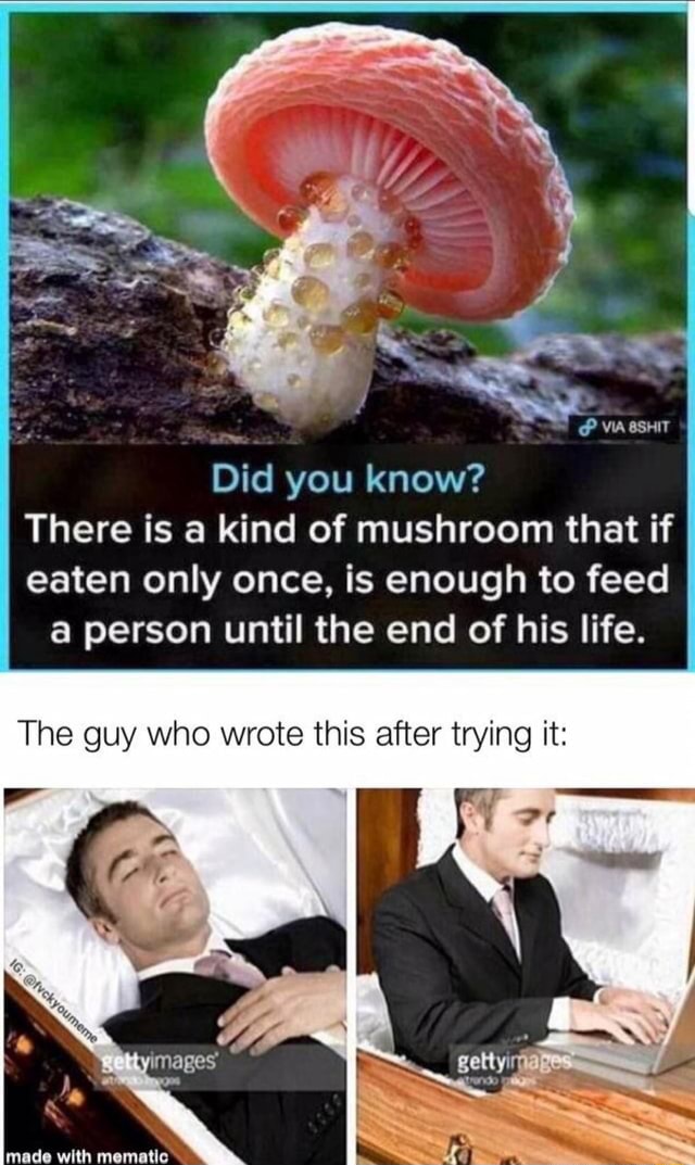 Did you know? There is a kind of mushroom that if eaten only once, is ...