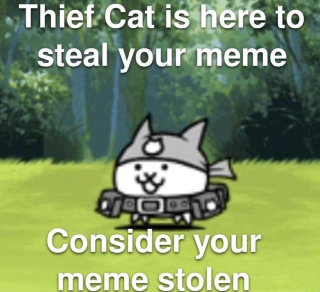 Thief Cat is here to steal your meme Consider your meme stolen - iFunny
