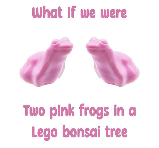 It’s friday 🙏😽 - What if we were Two pink frogs in Lego bonsai tree ...
