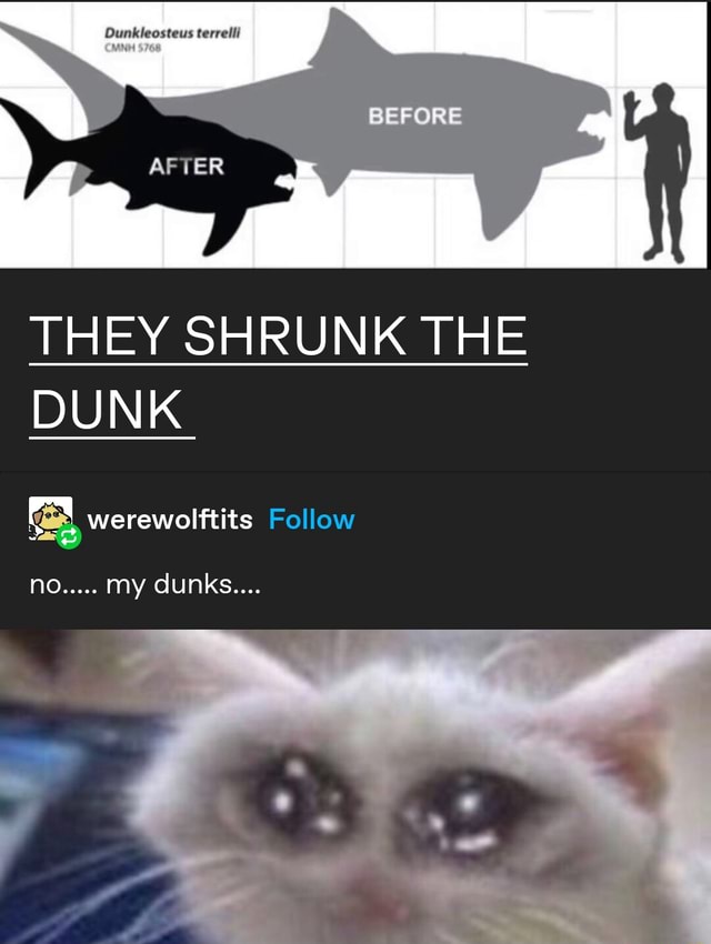 BEFORE AFTER THEY SHRUNK THE DUNK no..... my dunks.... - iFunny