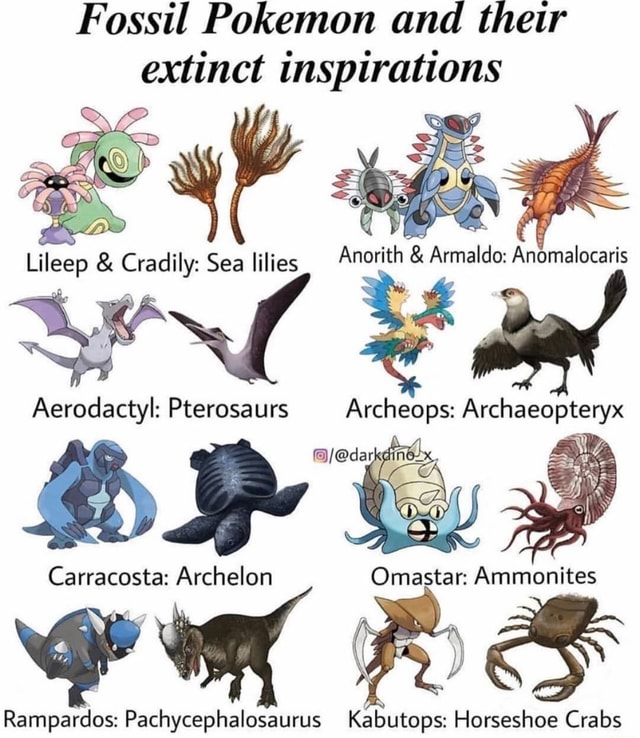 Fossil Pokemon and their extinct inspirations Lileep Cradily: Sea ...