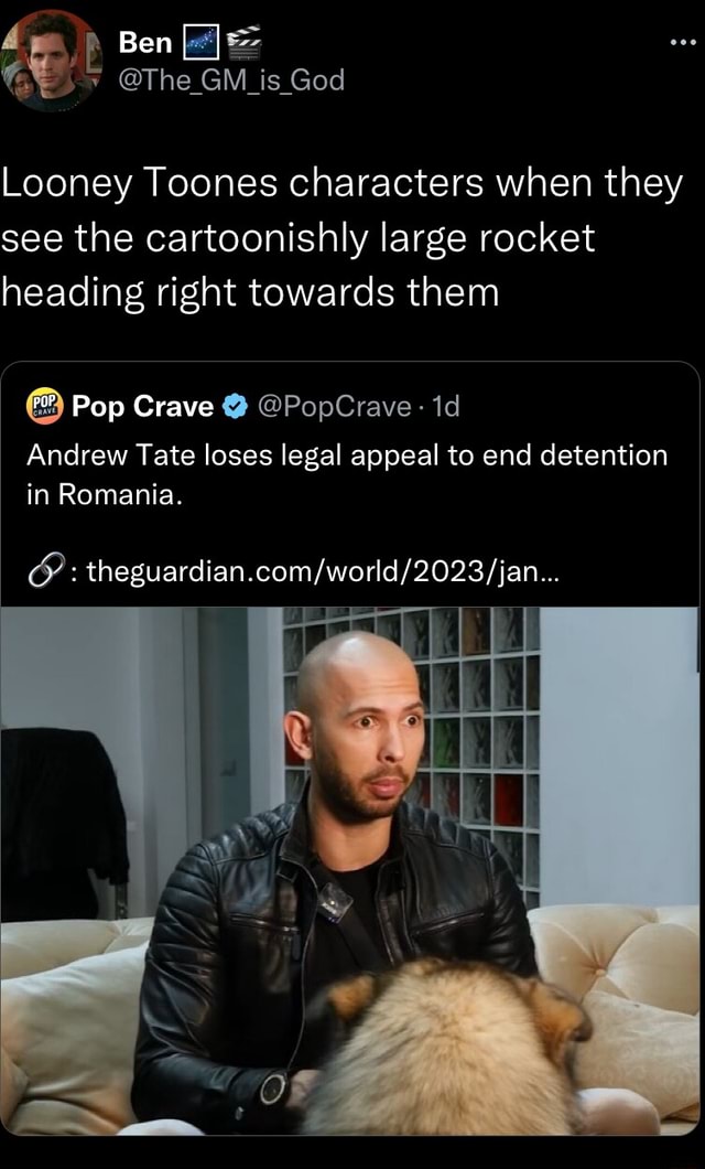 Ben @The GM_is God Looney Toones characters when they see the ...