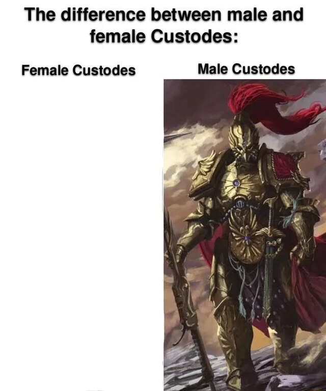 The difference between male and female Custodes: Female Custodes Male ...