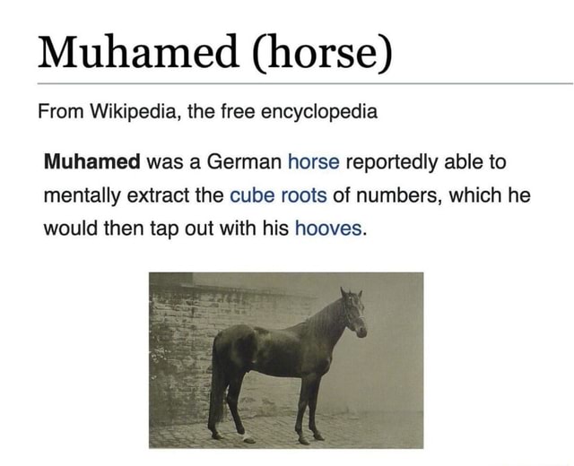 Muhamed (horse) From Wikipedia, the free encyclopedia Muhamed was a ...