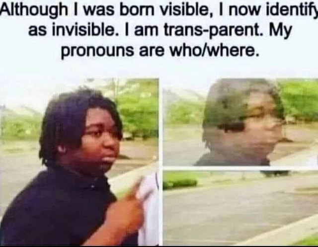 Although I was born visible, I now identify as invisible. I am trans ...