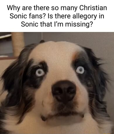Why are there so many Christian Sonic fans? Is there allegory in Sonic ...
