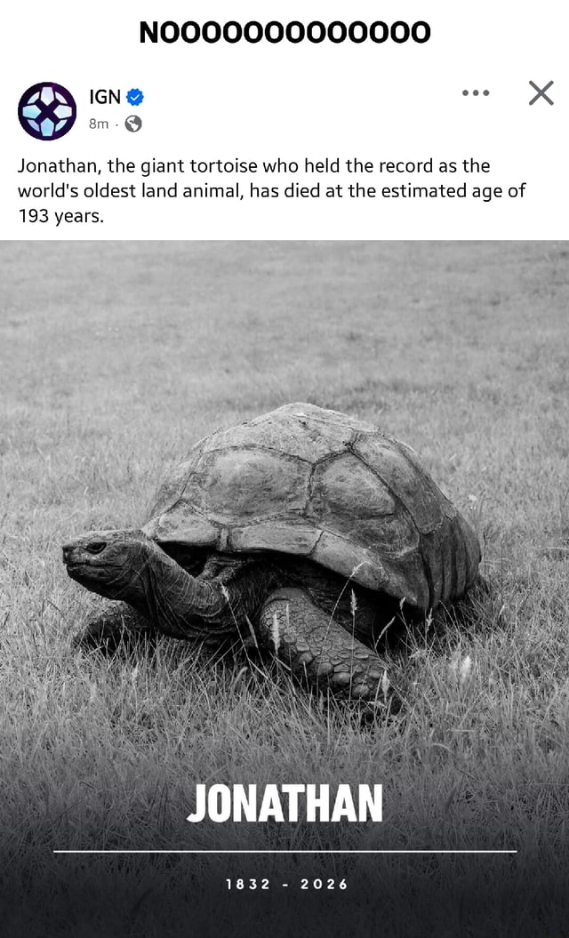 NOOOOOO00000000 IGN am - @ 193 years. Jonathan, the giant tortoise who ...