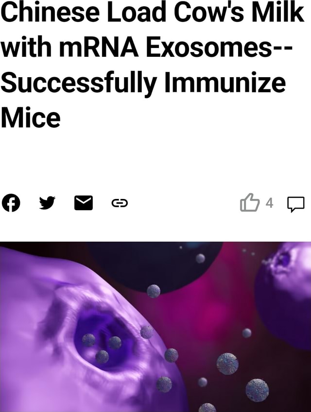 Chinese Load Cows Milk with MRNA Exosomes-- Successfully Immunize Mice ...