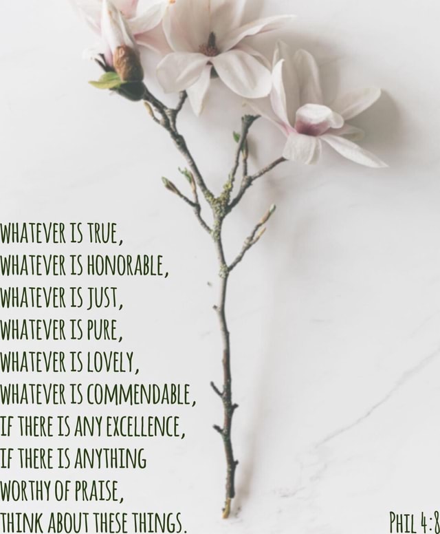 WHATEVER TS TRUE, WHATEVER TS HONORABLE, WHATEVER TS JUST, WHATEVER ...