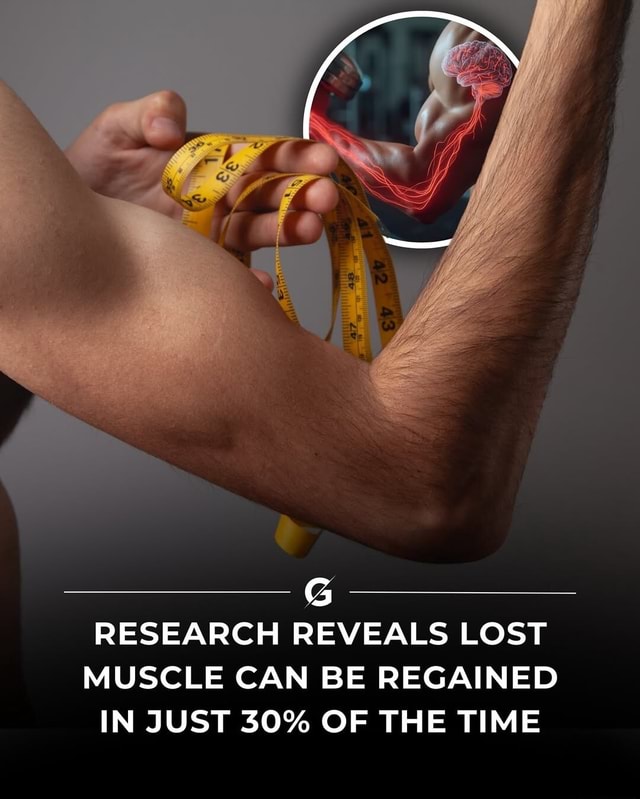 RESEARCH REVEALS LOST MUSCLE CAN BE REGAINED IN JUST 30% OF THE TIME ...