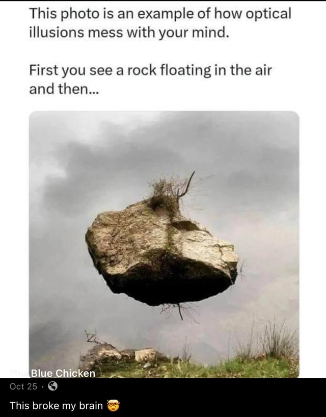 This photo is an example of how optical illusions mess with your mind. First you see a rock ...