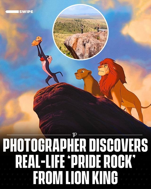 Swipe ️ to view the real-life Pride Rock from Disney’s Lion King 🪨🦁 (🎥 ...