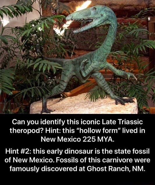 BED Can you identify this iconic Late Triassic theropod? Hint: this ...