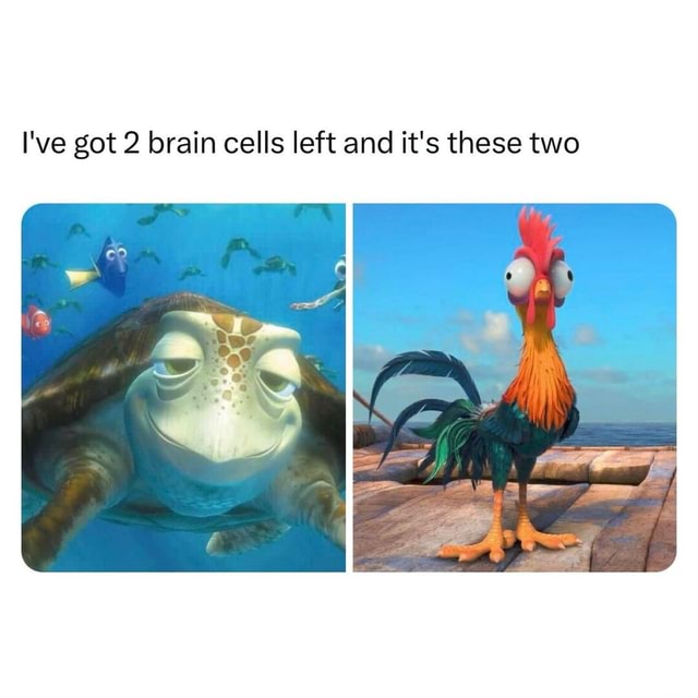 Real 😂 #funny #memes #explore #viral - I've got 2 brain cells left and ...