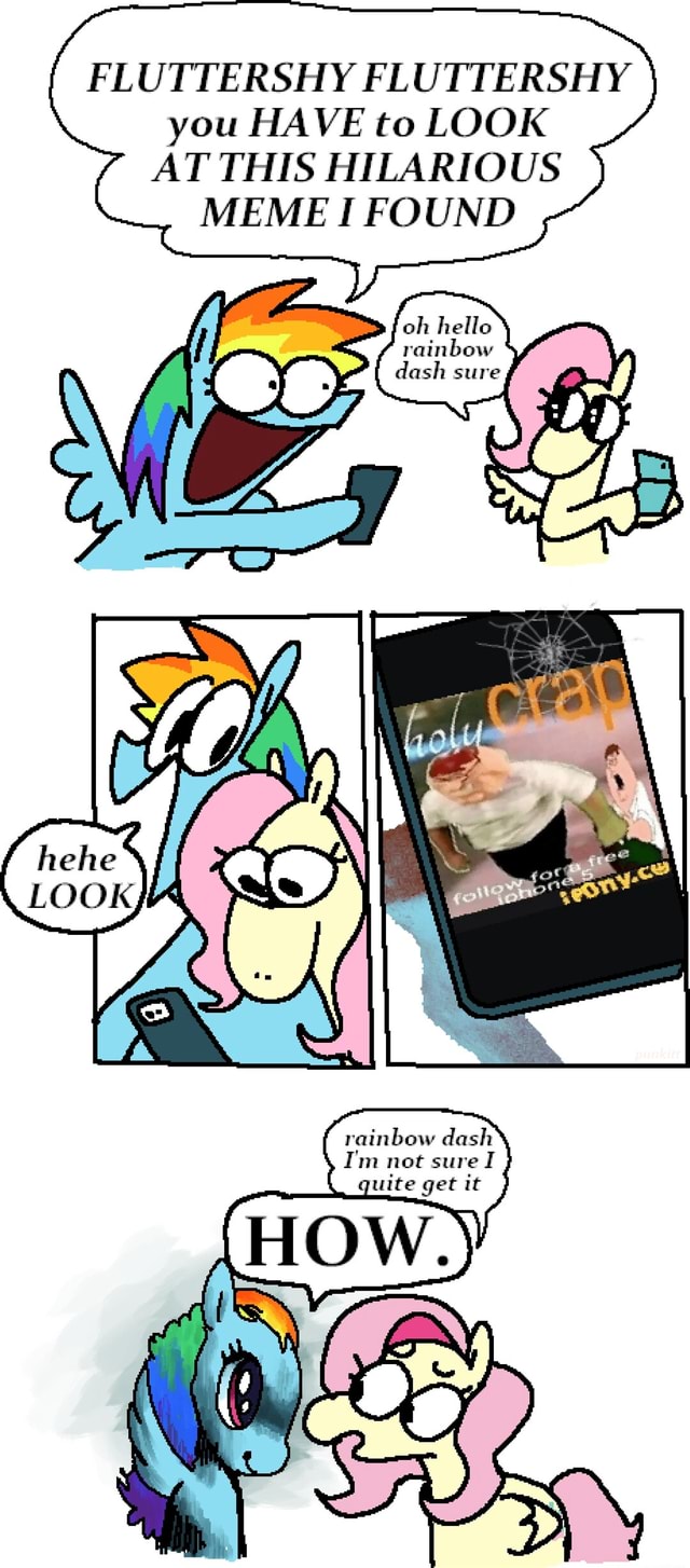 FLUTTERSHY FLUTTERSHY you HAVE to LOOK AT THIS HILARIOUS MEME I FOUND oh hello rainbow dash sure ...