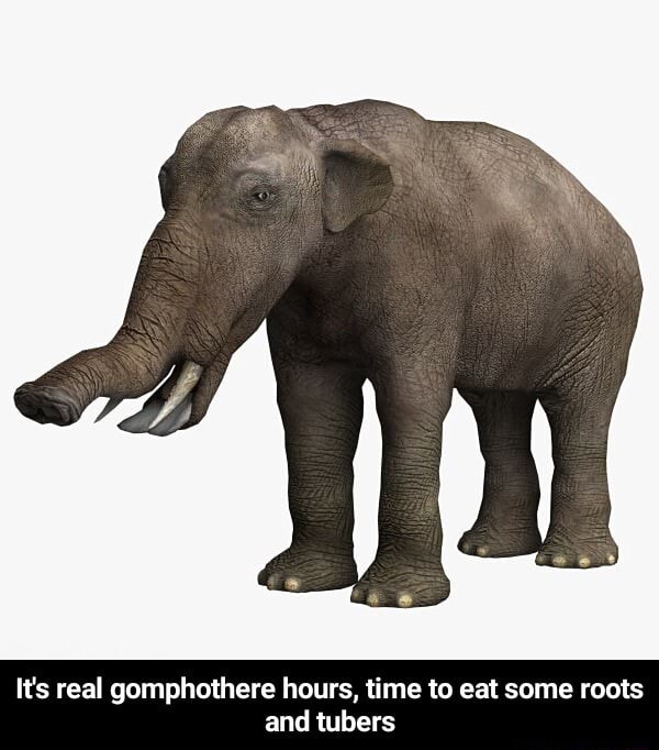 Its real gomphothere hours, time to eat some roots and tubers - It's ...