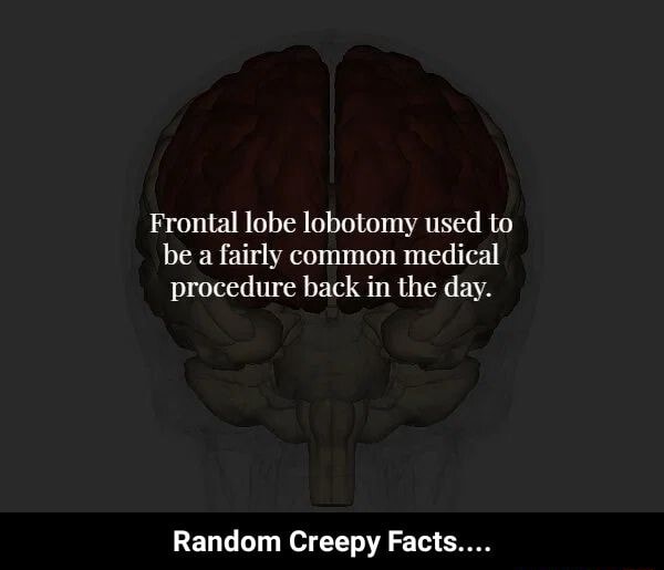 Frontal lobe lobotomy used to be a fairly common medical procedure back ...