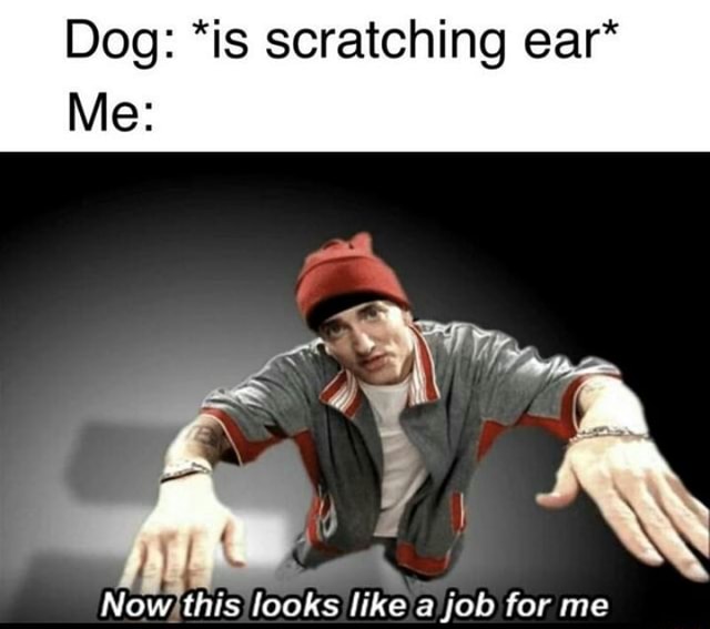 Dog: *is scratching ear* Me: Now this looks like a job for me - iFunny