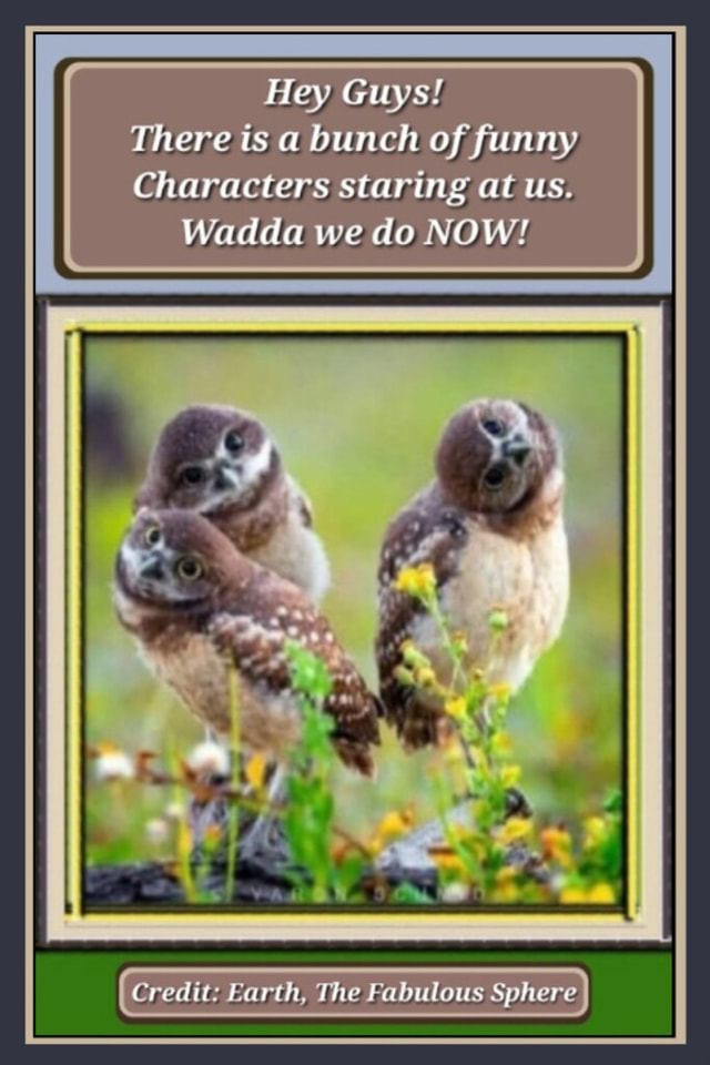 Hey Guys! There is a bunch of funny Characters staring at us. Wadda we ...