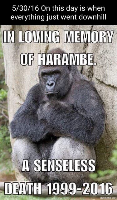 On this day is when everything just went downhill IN LOVING MEMORY OF ...