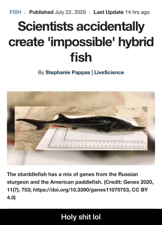 FISH Published July 22, 2020 Last Update 14 hrs ago Scientists ...