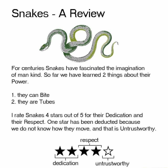 Snakes - A Review For centuries Snakes have fascinated the imagination ...