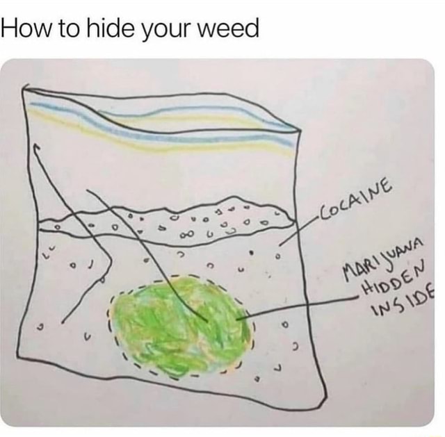 How to hide your weed - iFunny