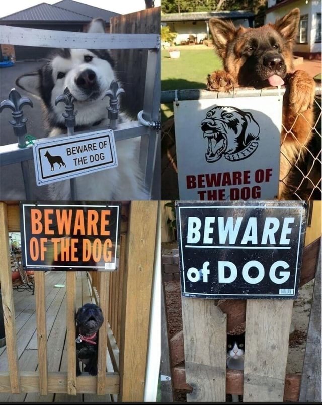 BEWARE OF \ THEDOS - iFunny
