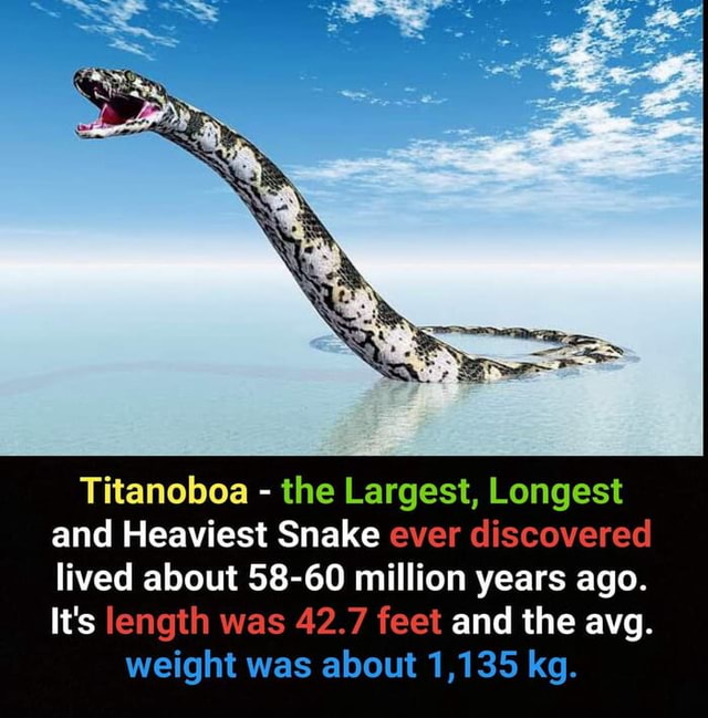 Titanoboa - the Largest, Longest and Heaviest Snake ever discovered ...