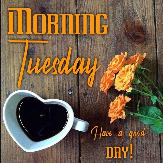 Good Morning. Happy Tuesday. ☕ #goodmorningpost #good #morningpost # ...